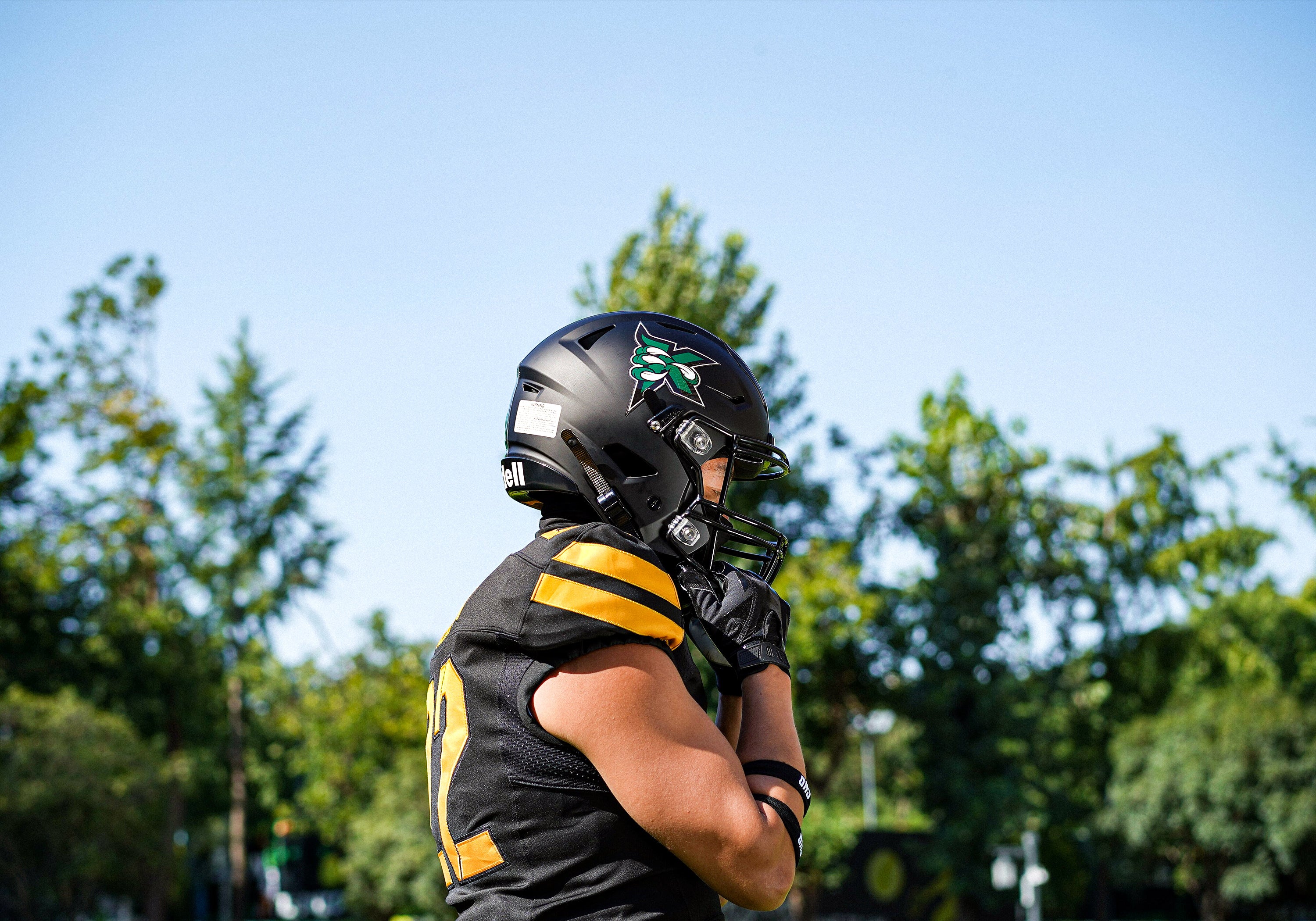 vicis pads evaluation – My Store